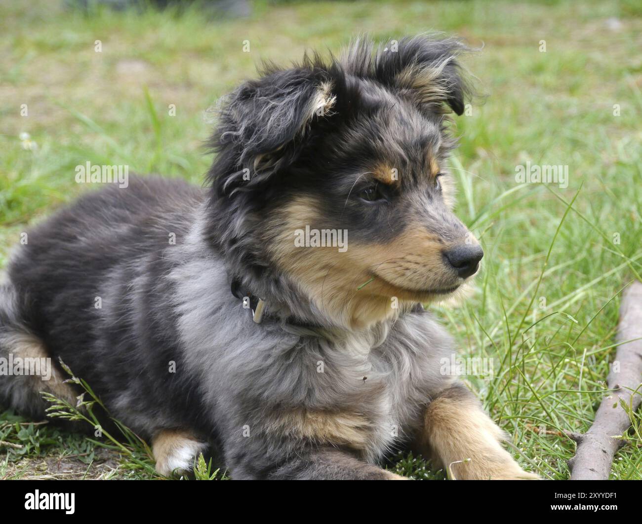 Black white copper hi-res stock photography and images - Alamy