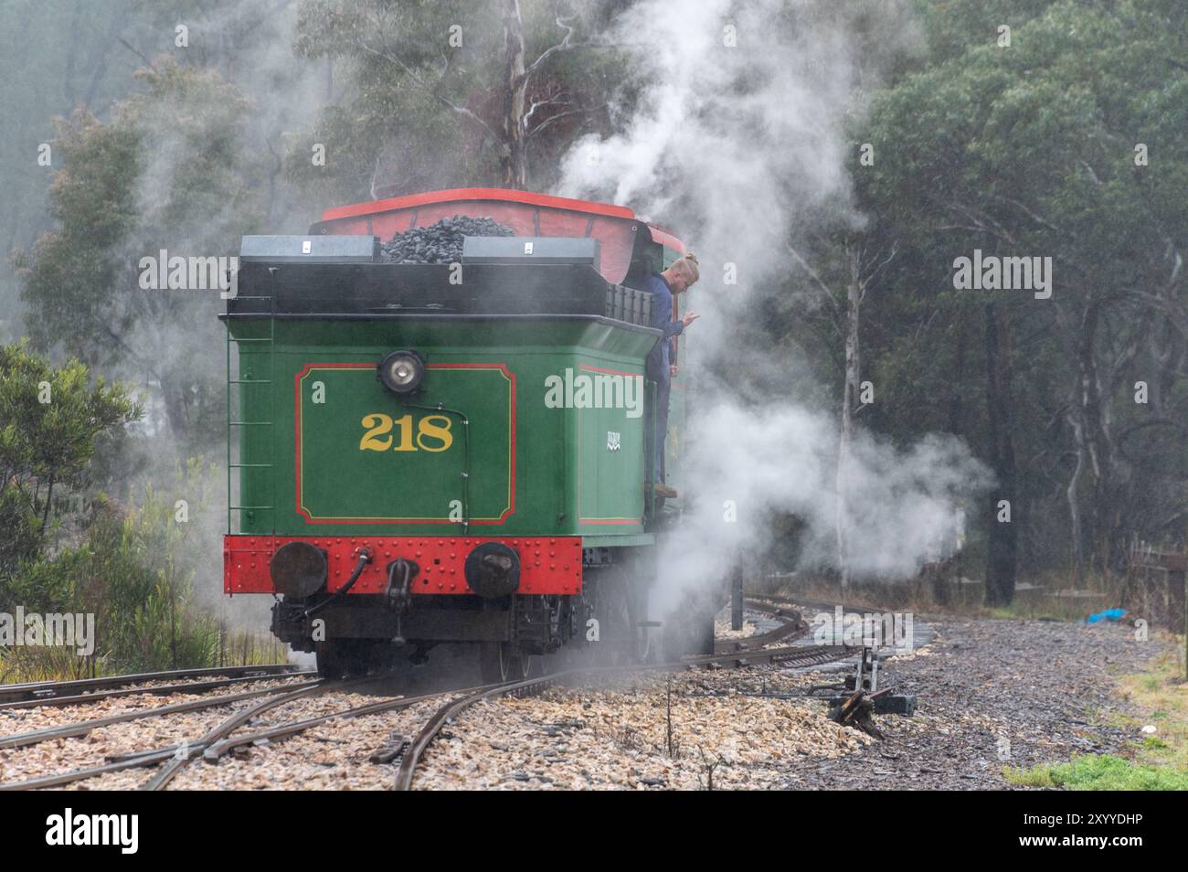A steam locomotive No 218A Class C16 stops to change over to another ...