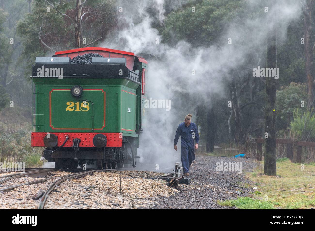 A steam locomotive No 218A Class C16 stops to change over to another ...