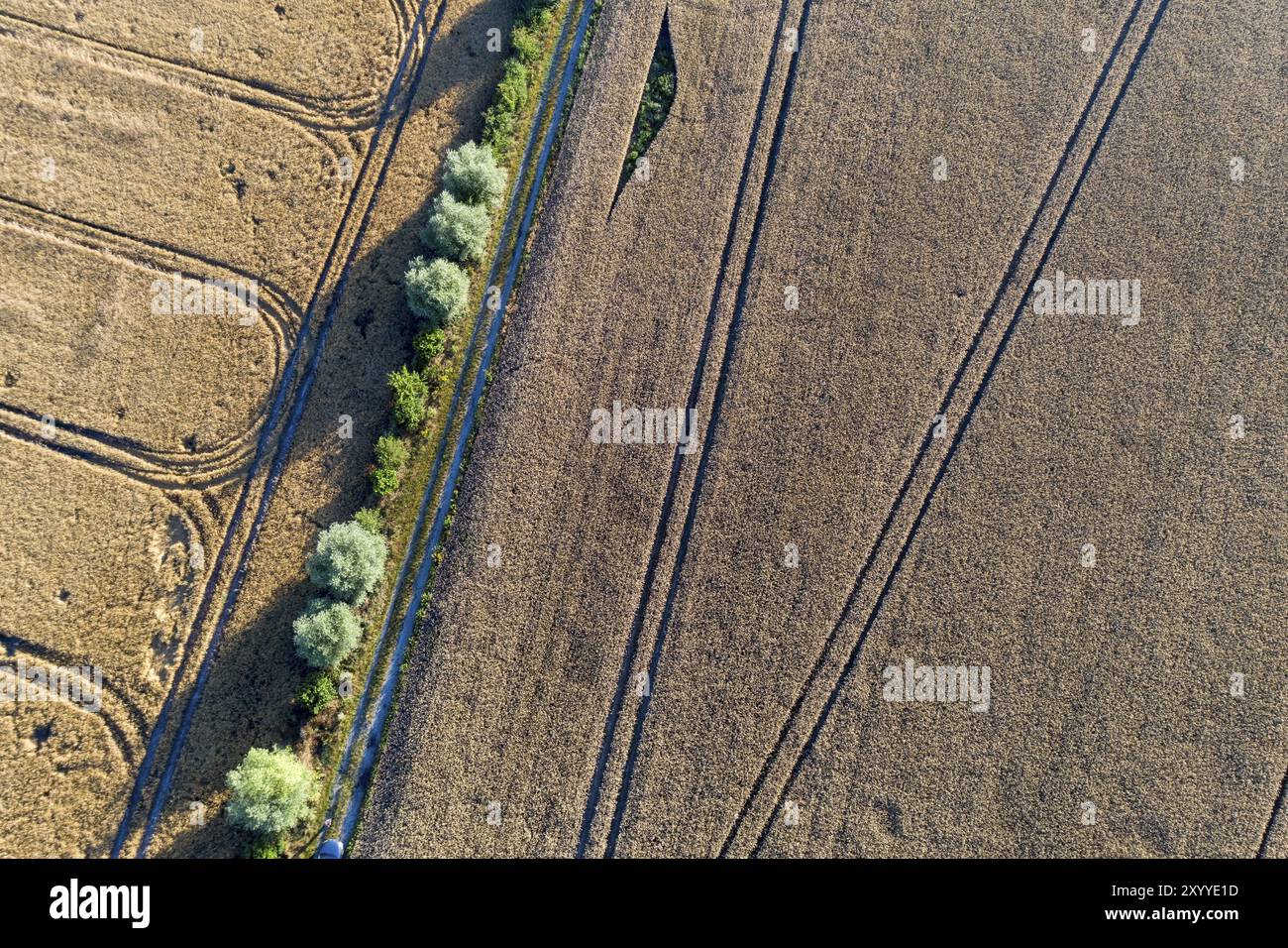 Two rows of trees cut hi-res stock photography and images - Alamy