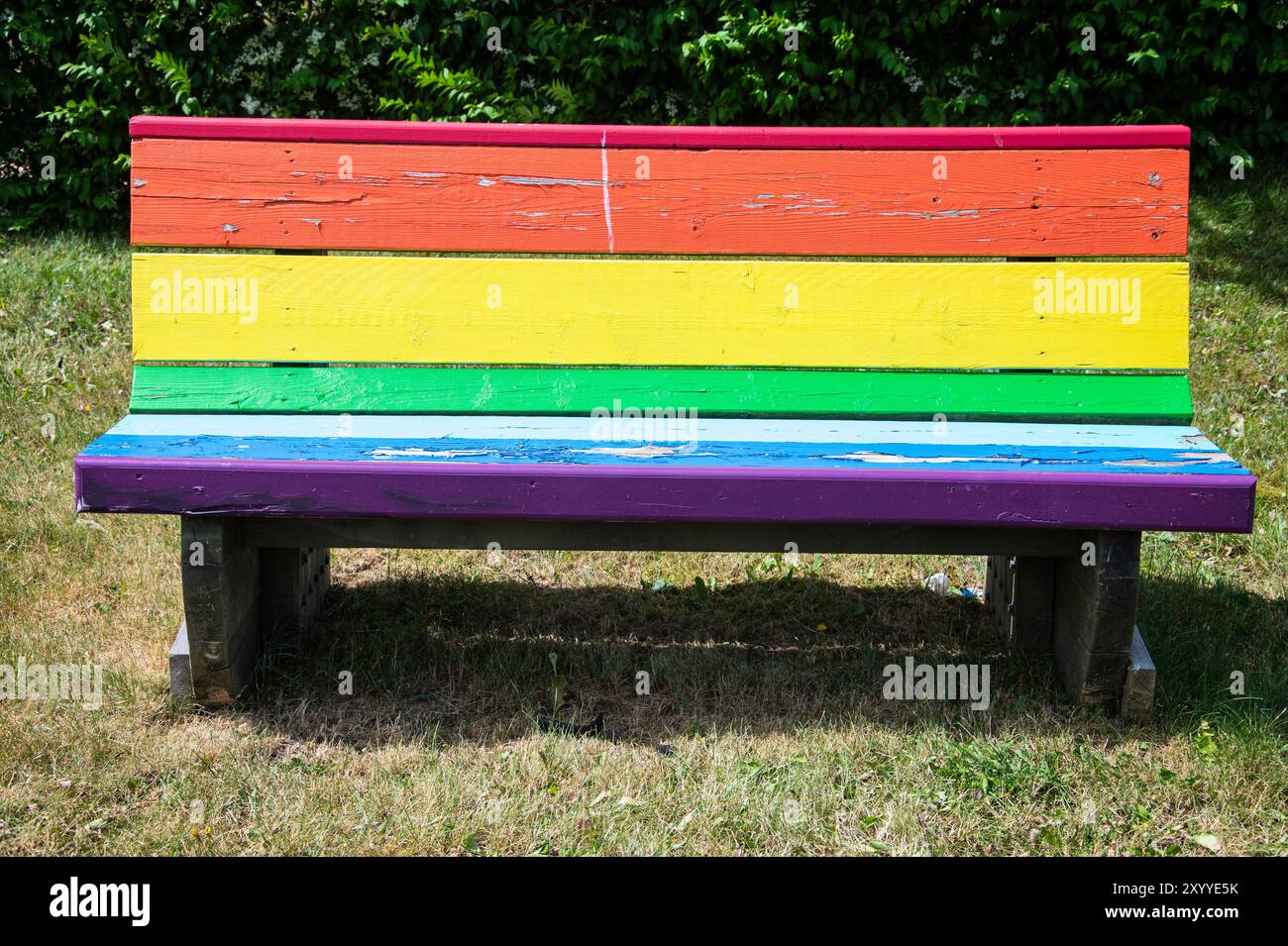 Rainbow bench at the Provincial Confederation Building on Prince Philip ...