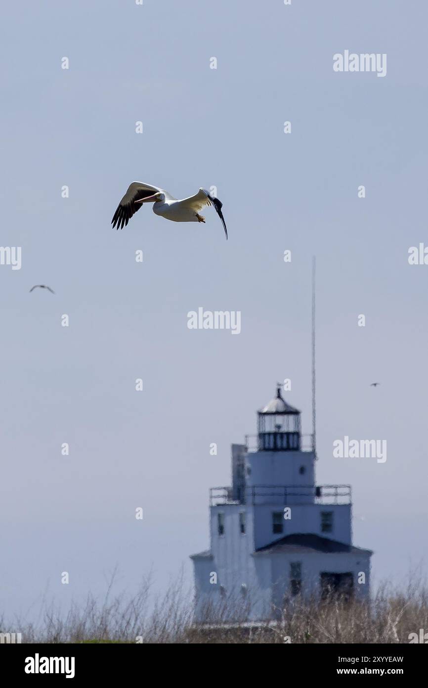 Nature scene from wisconsin Stock Photo - Alamy