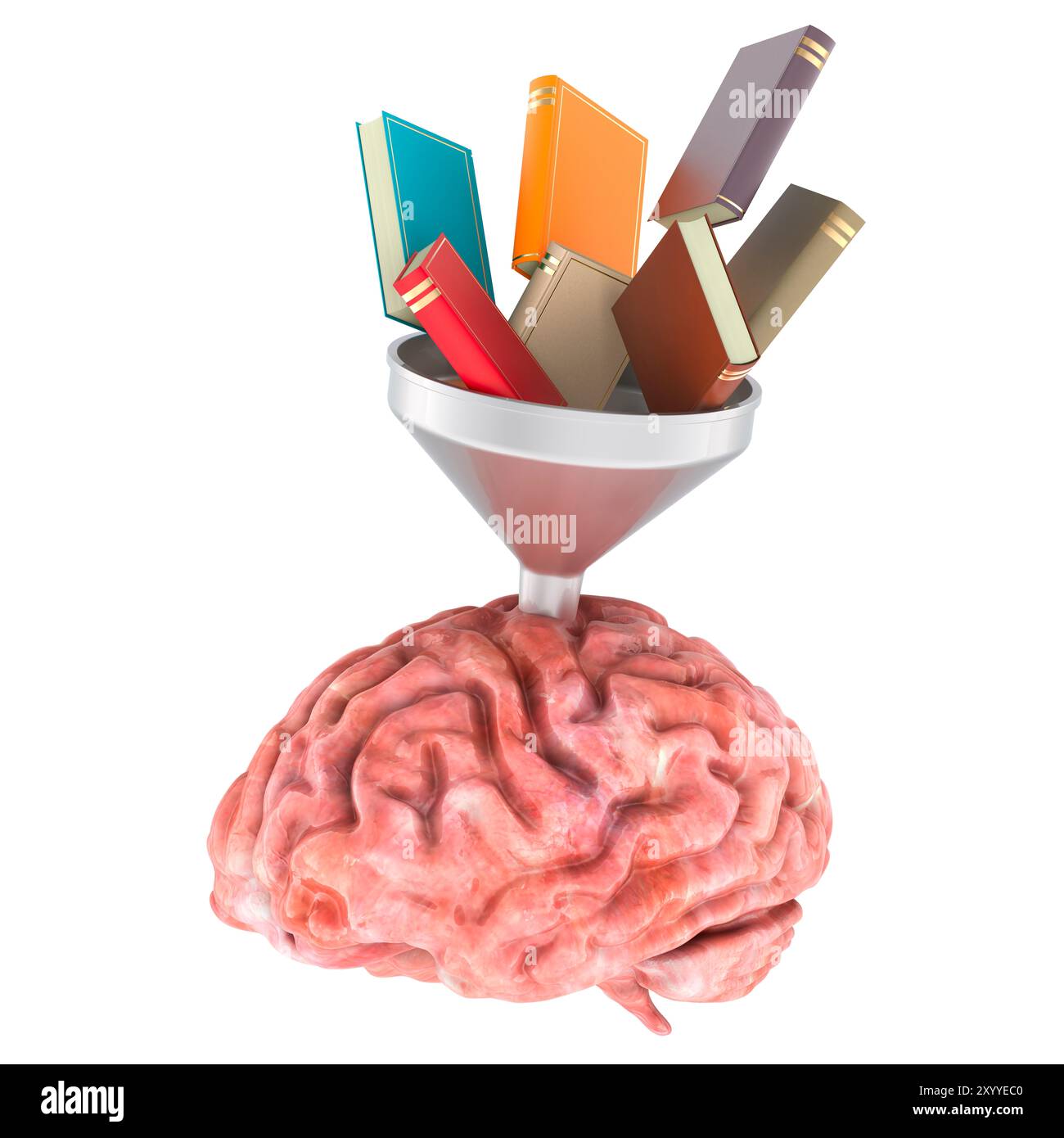 Books as fuel for brain, concept. 3D rendering isolated on white ...