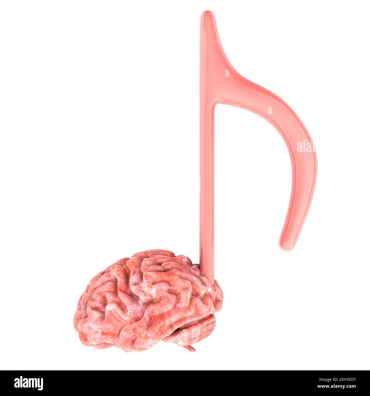 Music note with brain, 3D rendering isolated on white background Stock ...