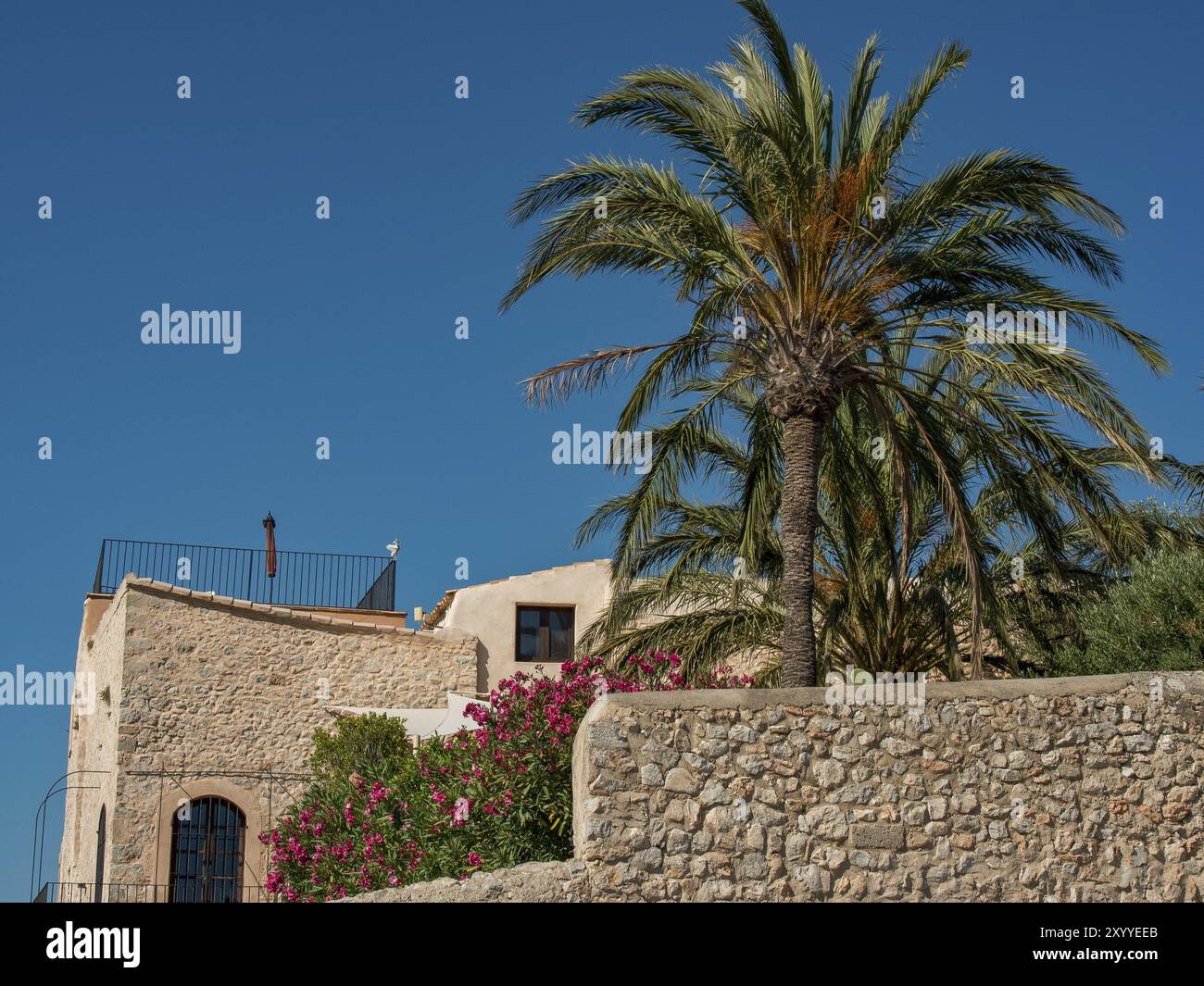 Mediterranean buildings with palm trees and stone wall, blue sky, ibiza ...