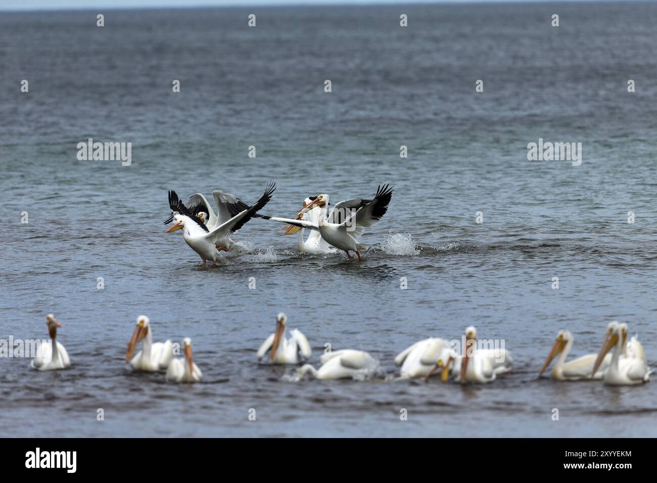 Nature scene from wisconsin Stock Photo - Alamy