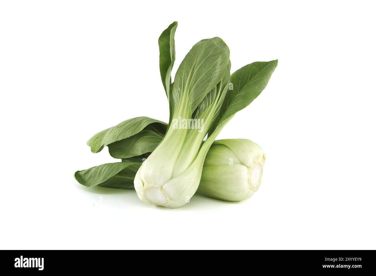 Pak choi, also known as bok choi or pok choi type of Chinese cabbage ...