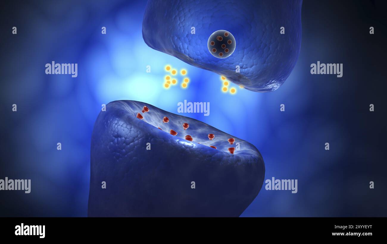 Conceptual image of synaptic transmission Stock Photo - Alamy