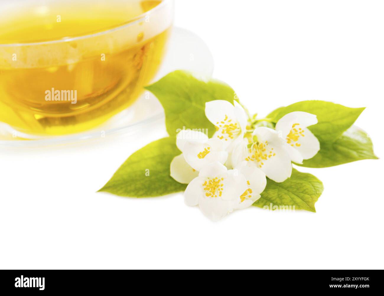 Cup of the jasmin tea isolated on white background Stock Photo - Alamy