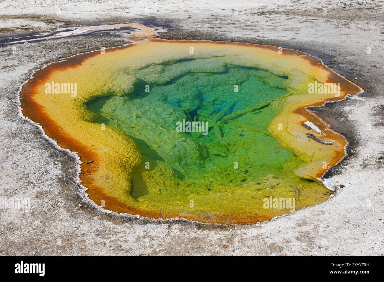 West Geyser in Biscuit Basin in Yellowstone Stock Photo - Alamy