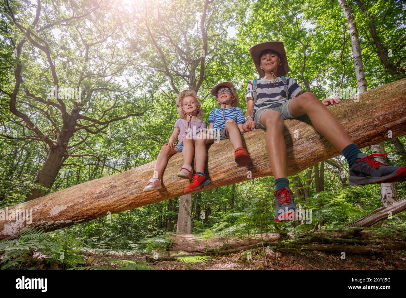 Three kids perched at a grand tree log have fun in summer camp Stock ...