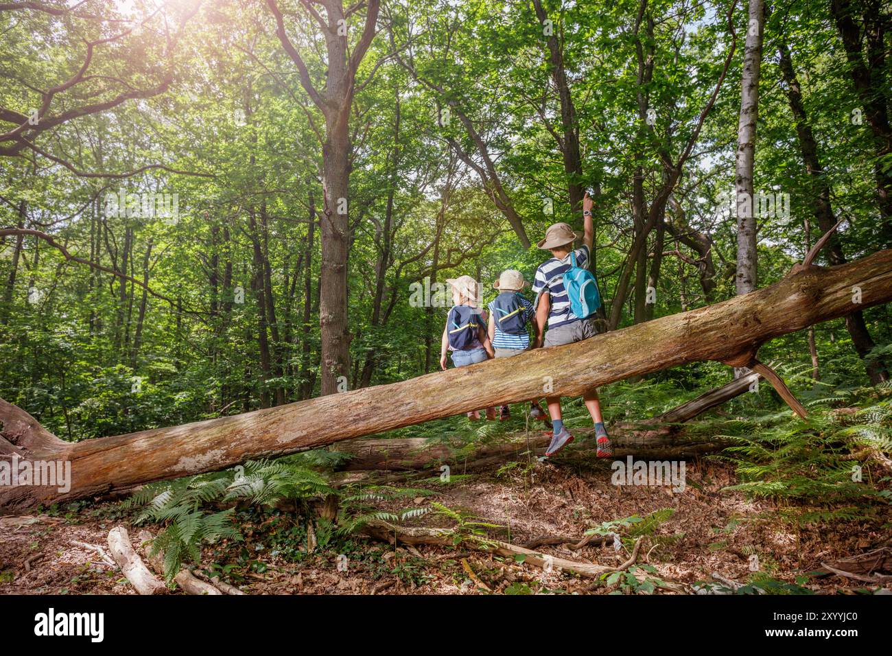 Children with hats sitting on a log, take rest at summer hike Stock ...