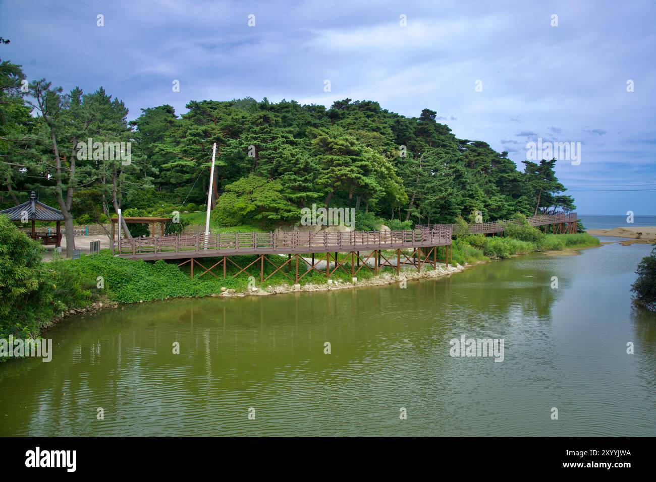Goseong County, South Korea - July 28th, 2024: A raised wooden walkway ...