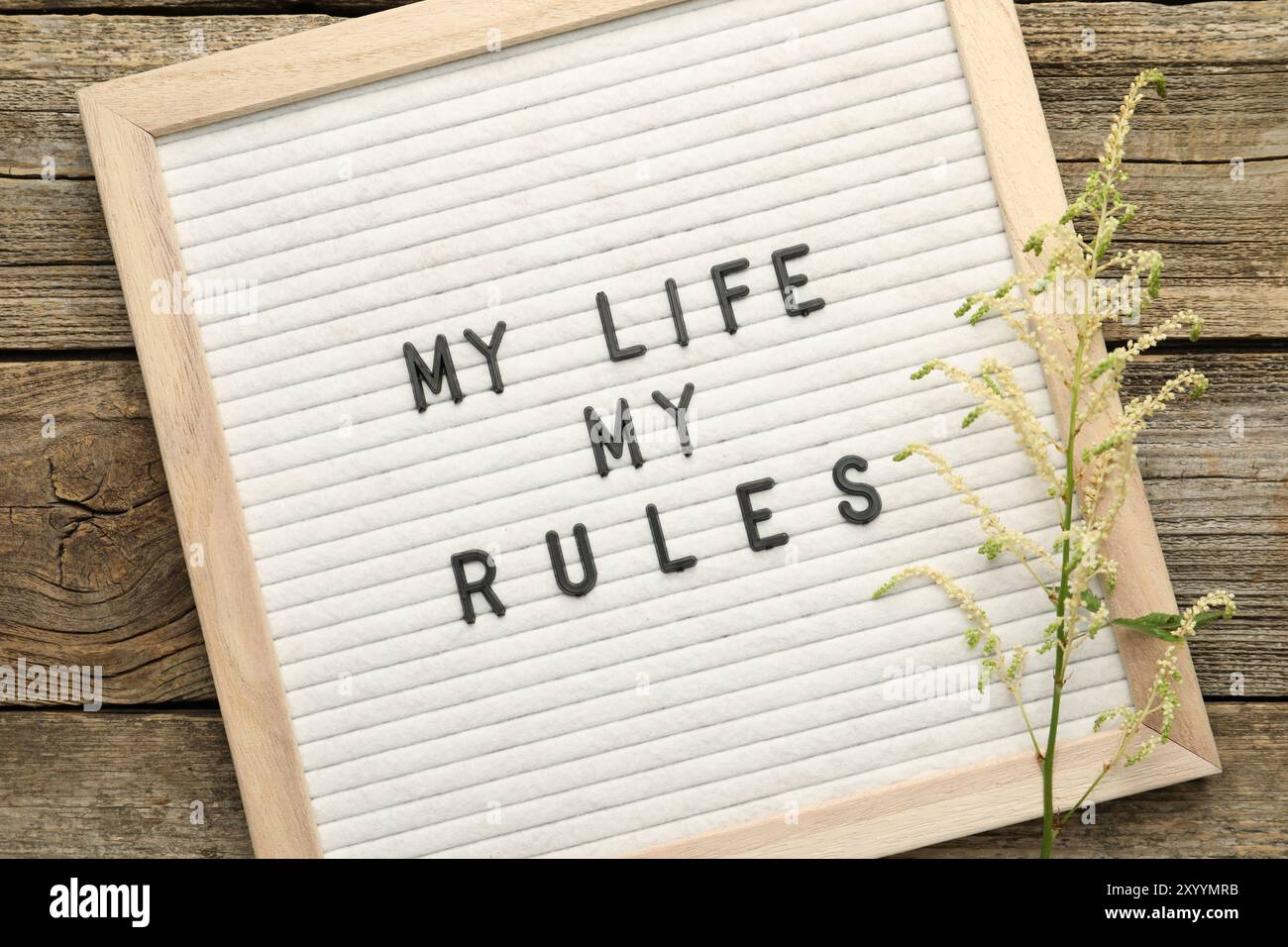 Letter board with phrase My Life My Rules and beautiful flower on ...