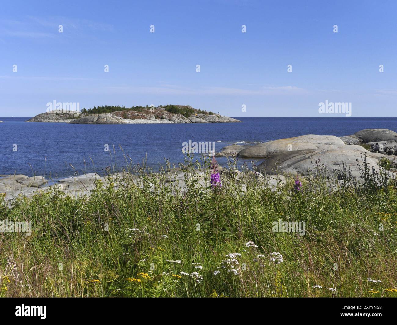 Coastal landscape in Sweden Stock Photo - Alamy