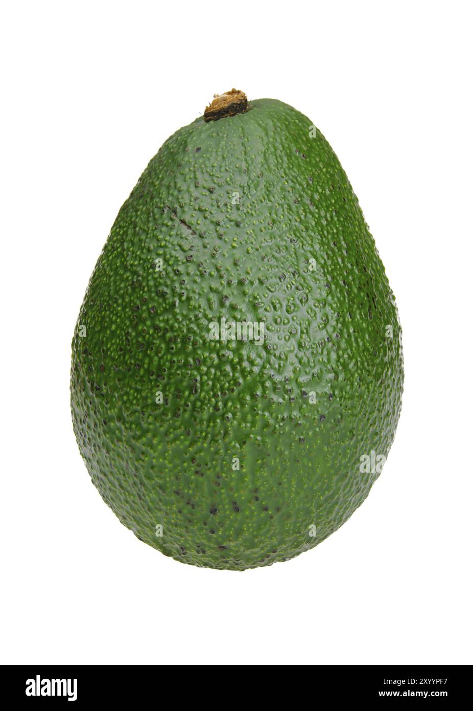 Avocado 01 hi-res stock photography and images - Alamy