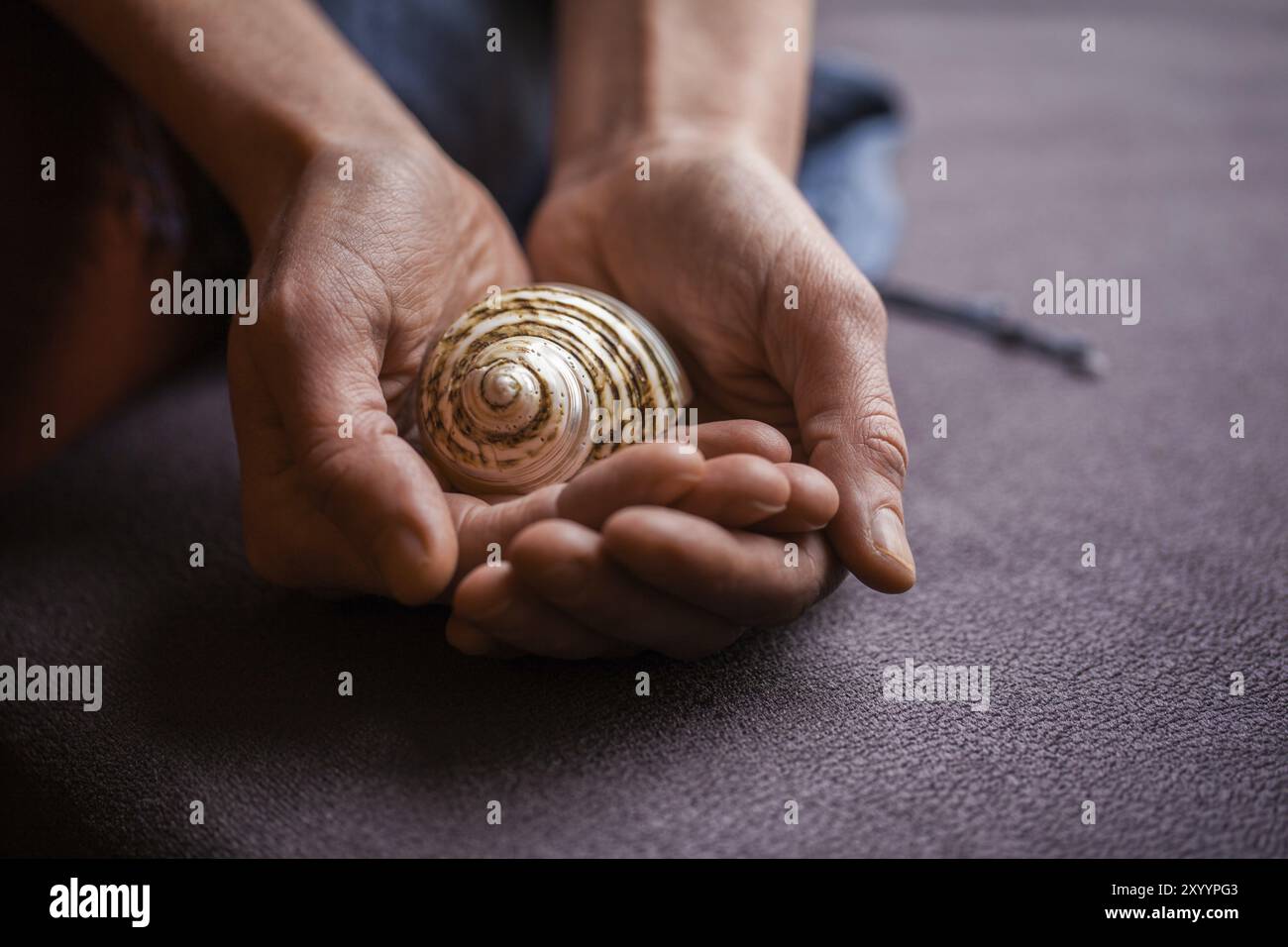 Friendship shell hi-res stock photography and images - Alamy