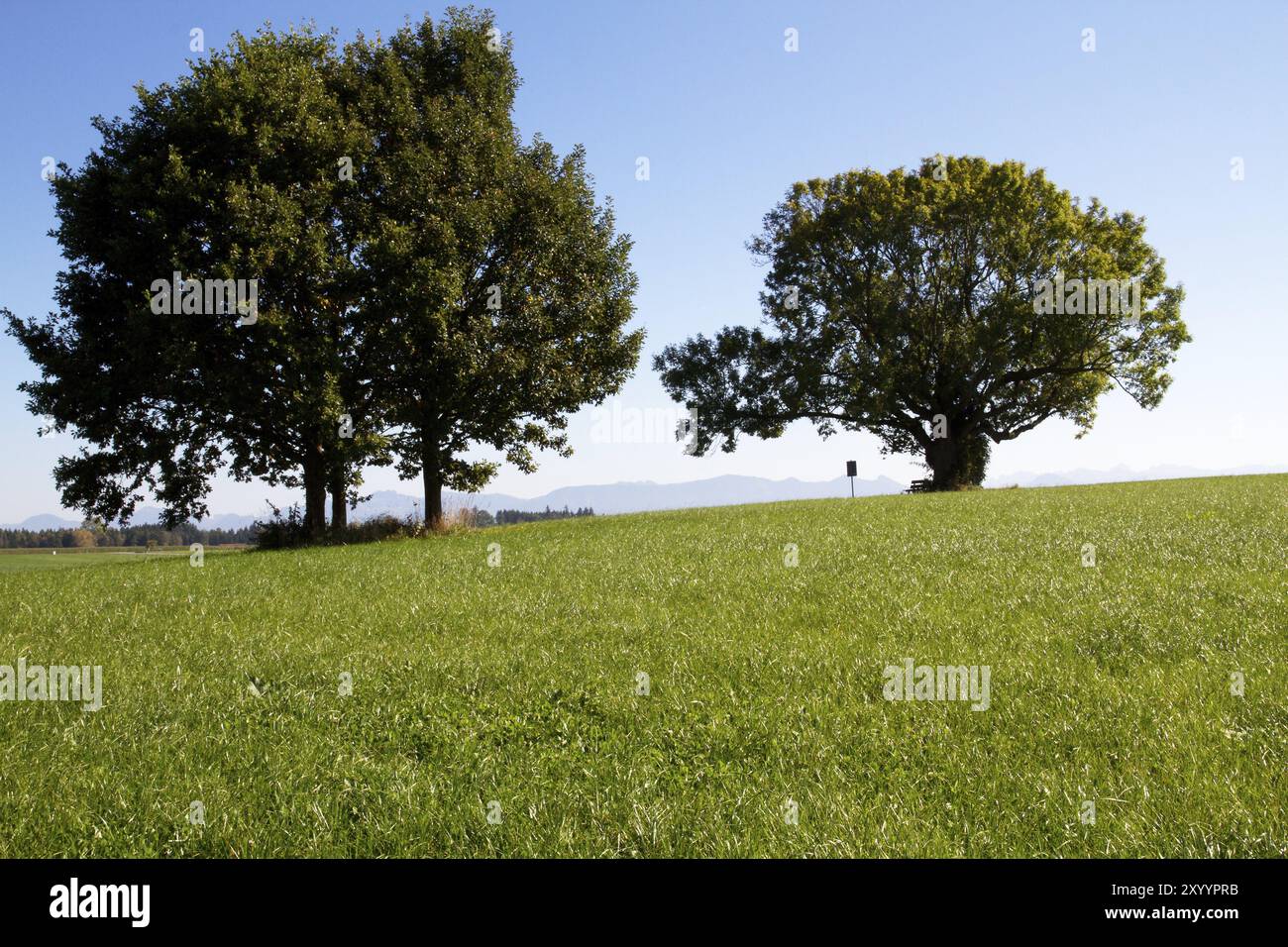 Green meadows in foothills hi-res stock photography and images - Alamy