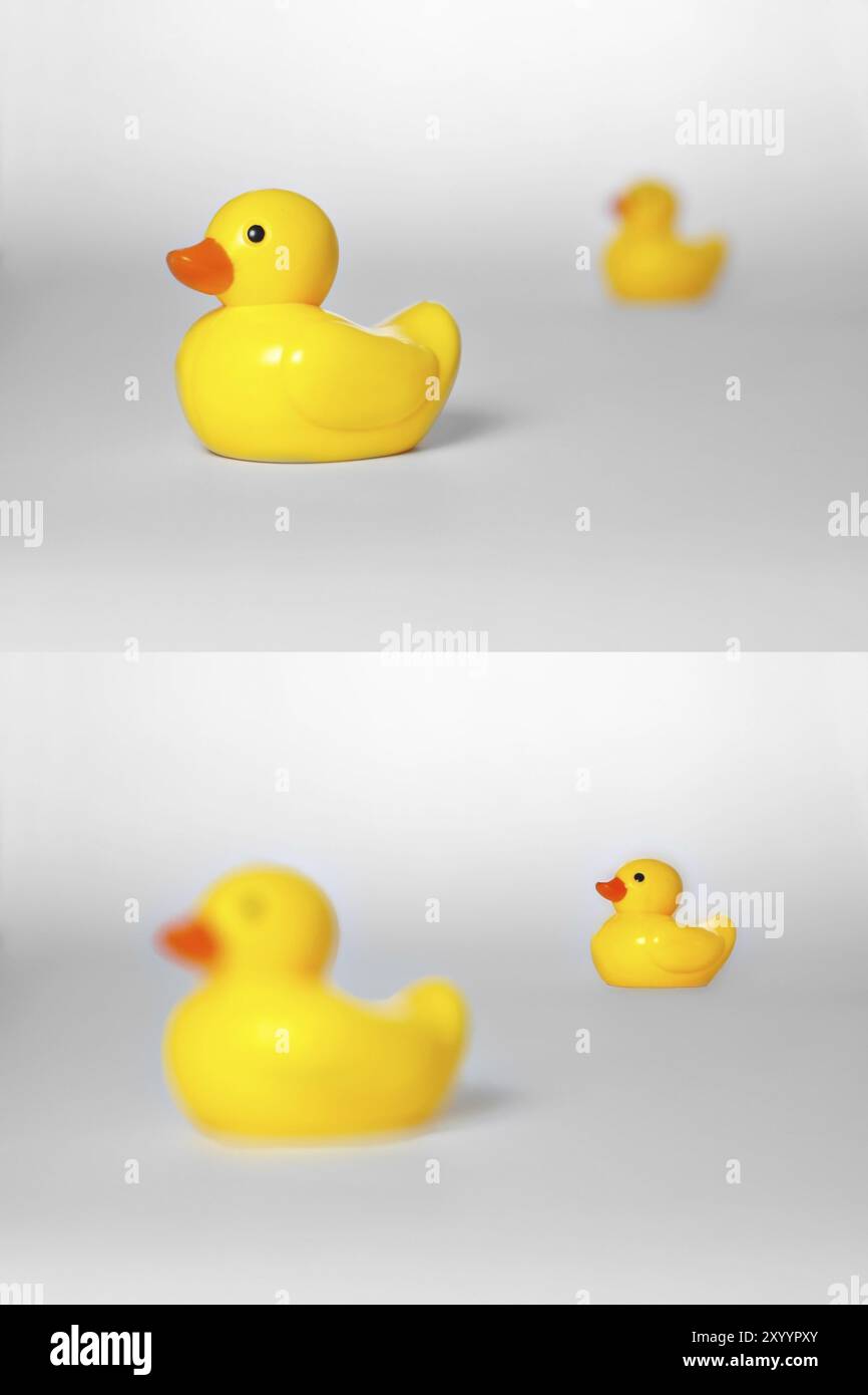 Shows the concept of Depth of Field using two rubber ducks Stock Photo ...