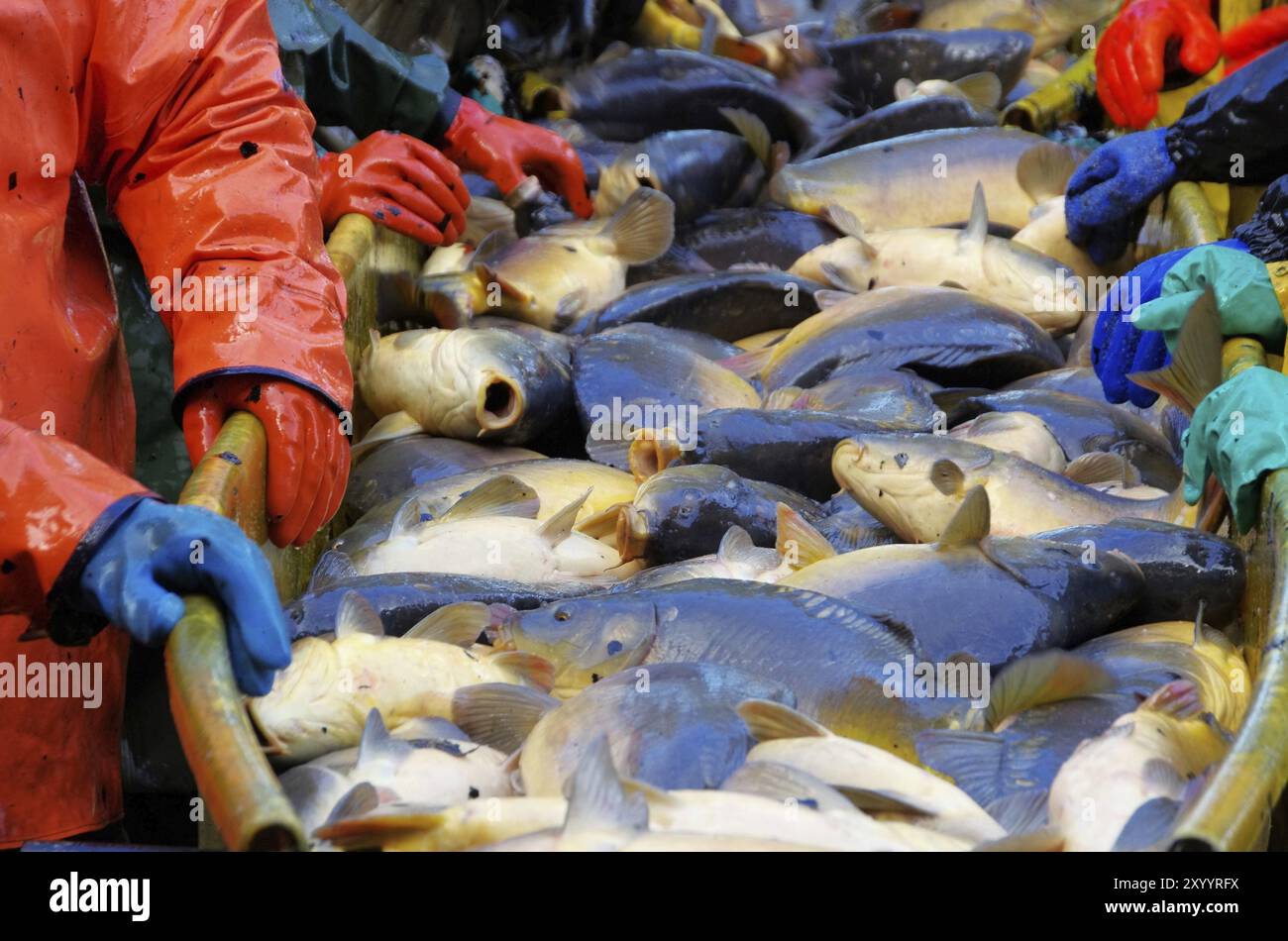 Fishing out, dry fishing 15 Stock Photo - Alamy