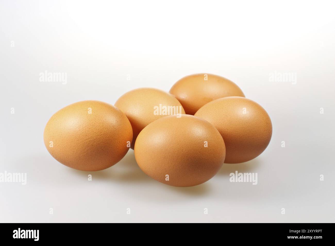 Five eggs lying down Stock Photo - Alamy