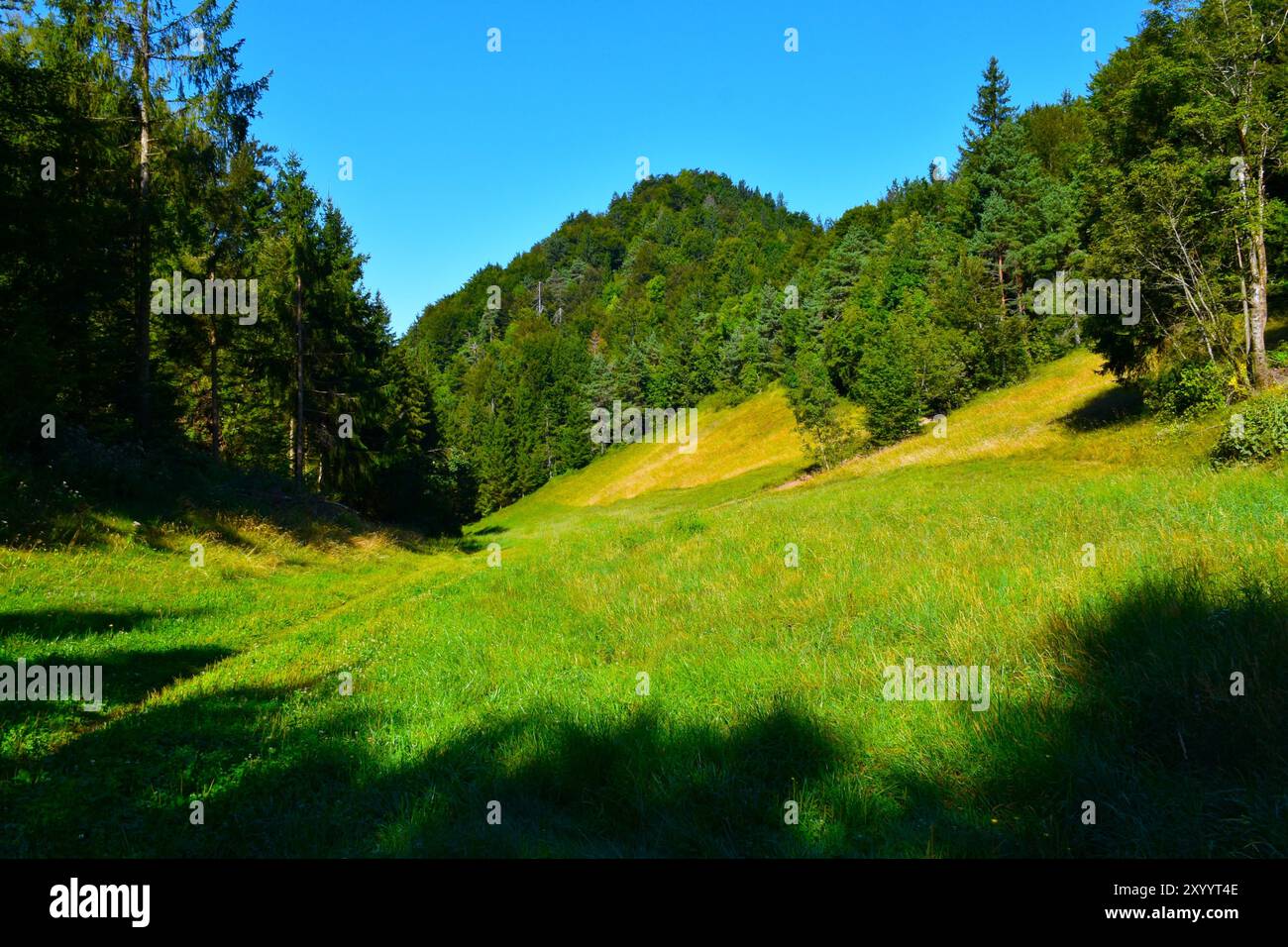 Tiha dolina hi-res stock photography and images - Alamy