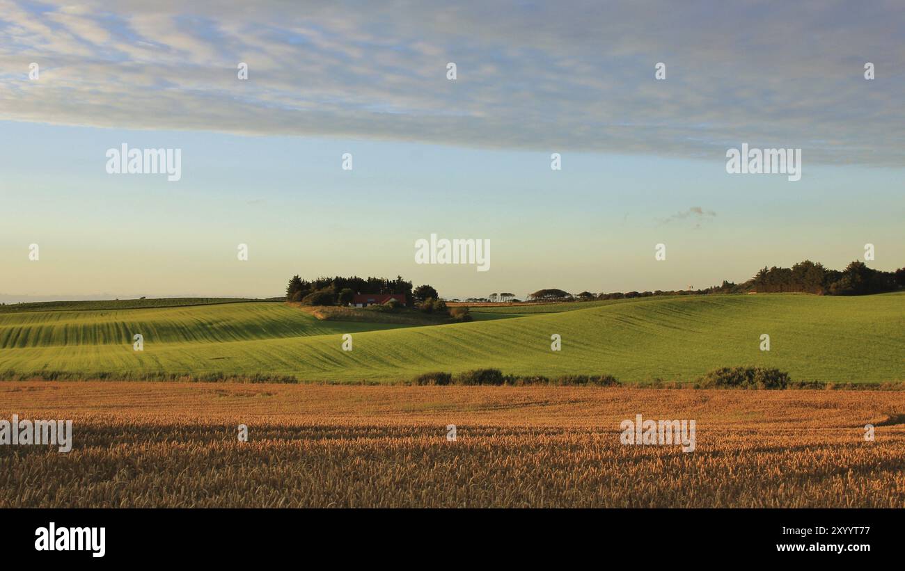 Beautiful shaped meadow field hi-res stock photography and images - Alamy