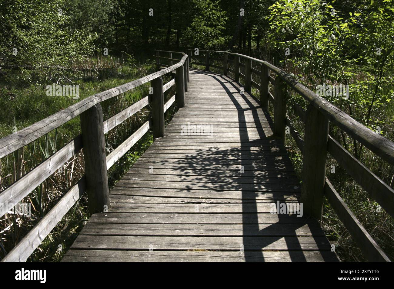 Path made wooden planks walkway hi-res stock photography and images - Alamy
