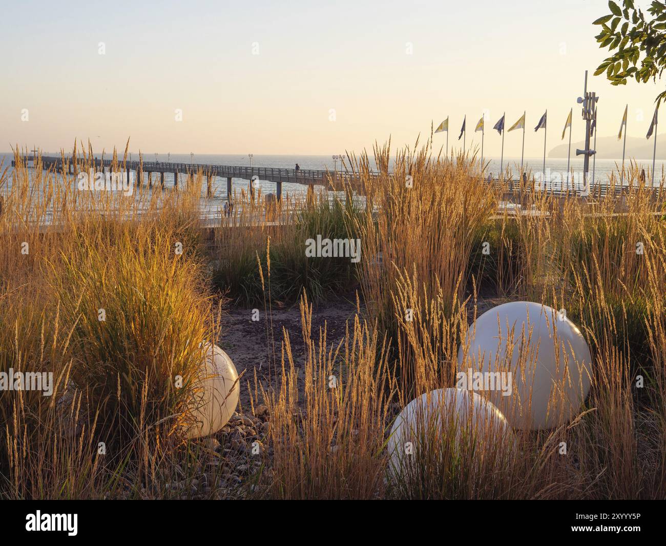 Golden evening light illuminates grasses and ball sculptures with a ...