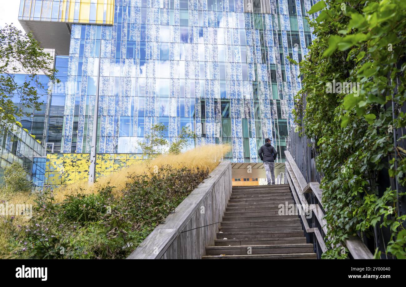 Green spaces around buildings, here at Hogeschool Inholland Rotterdam ...