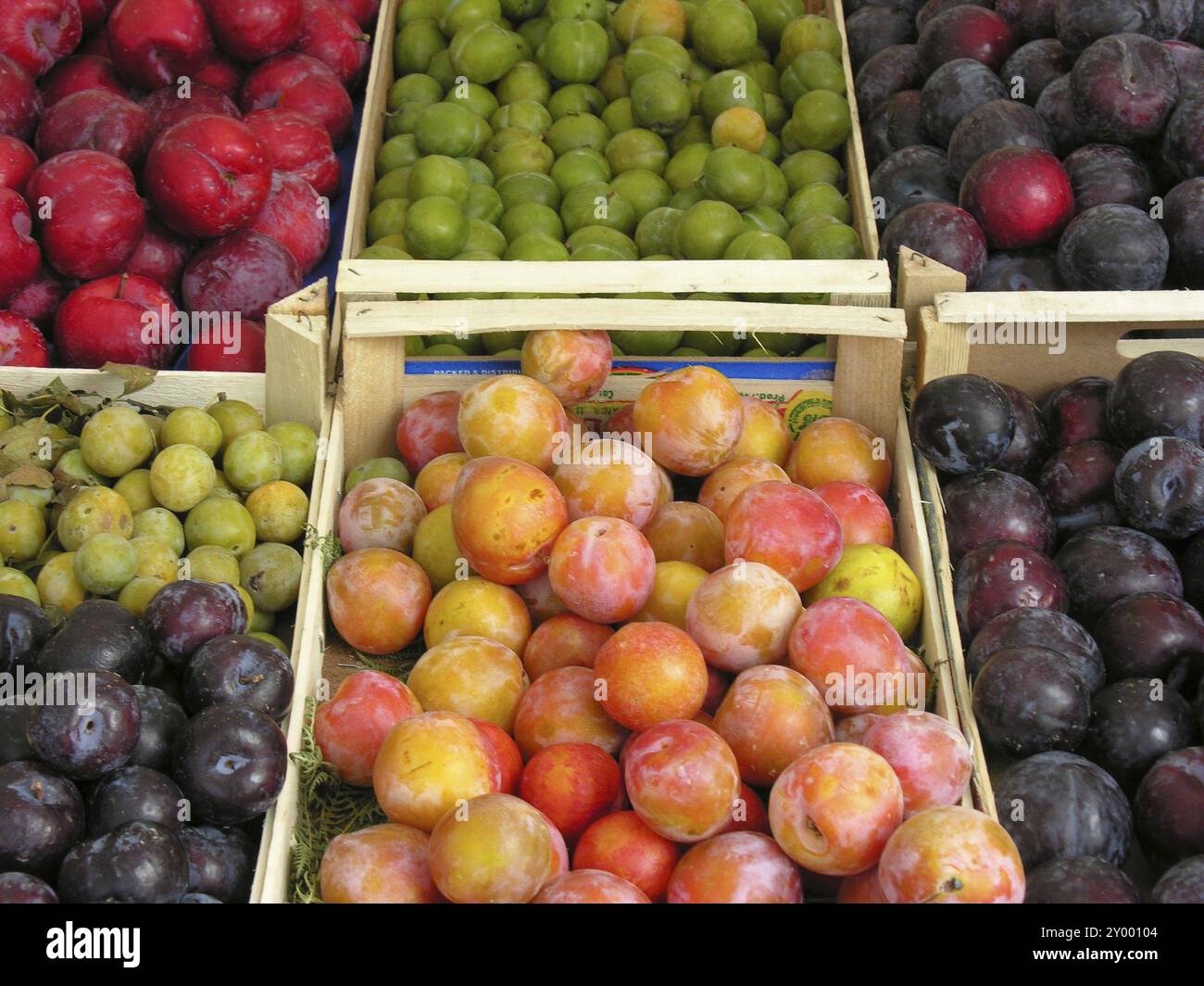 Reine claude plum hi-res stock photography and images - Alamy