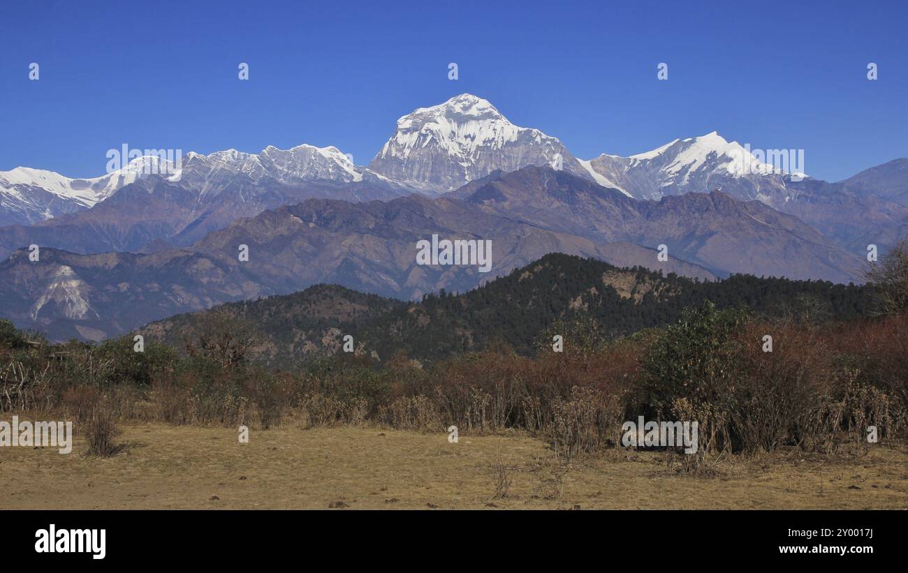 View from height on autumn hi-res stock photography and images - Alamy