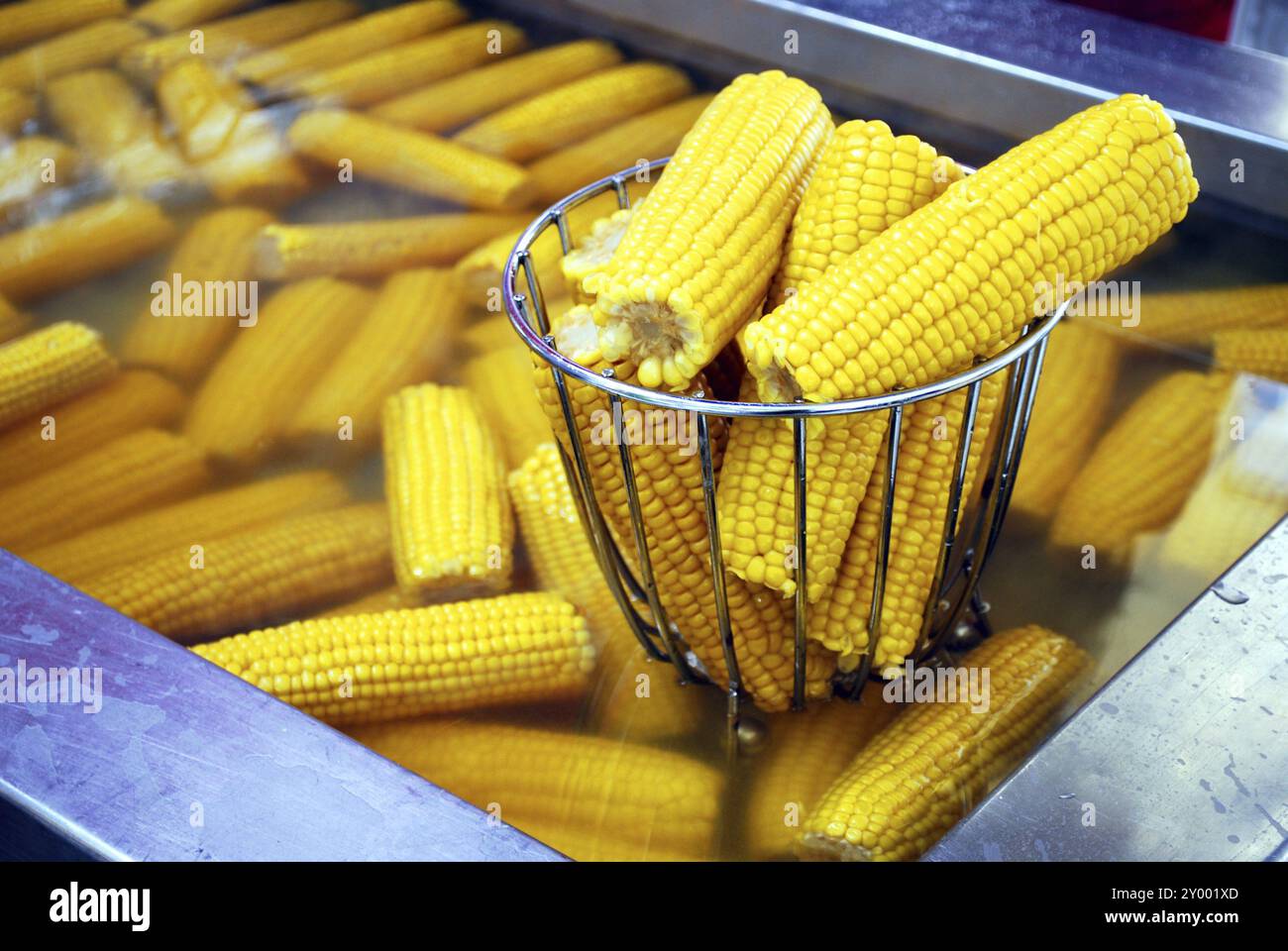 Many fresh hot corn cobs on market stall Stock Photo - Alamy