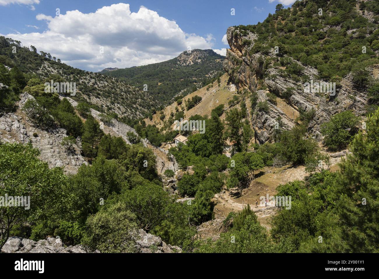 Ruta del rio Borosa, parque natural sierras de Cazorla, Segura y Las ...