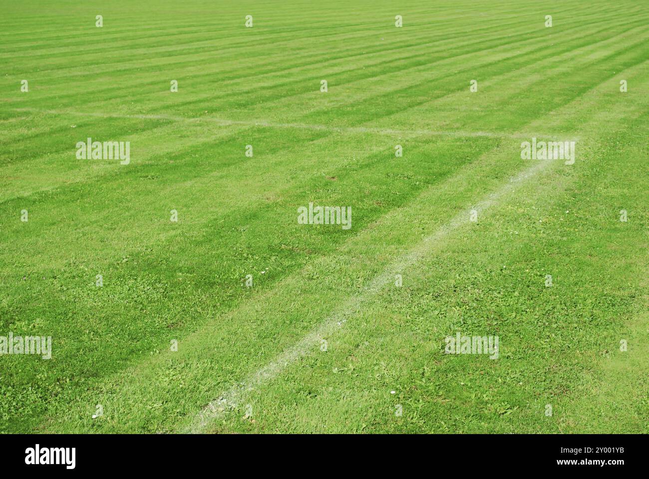 Football pitch grounds team hi-res stock photography and images - Alamy
