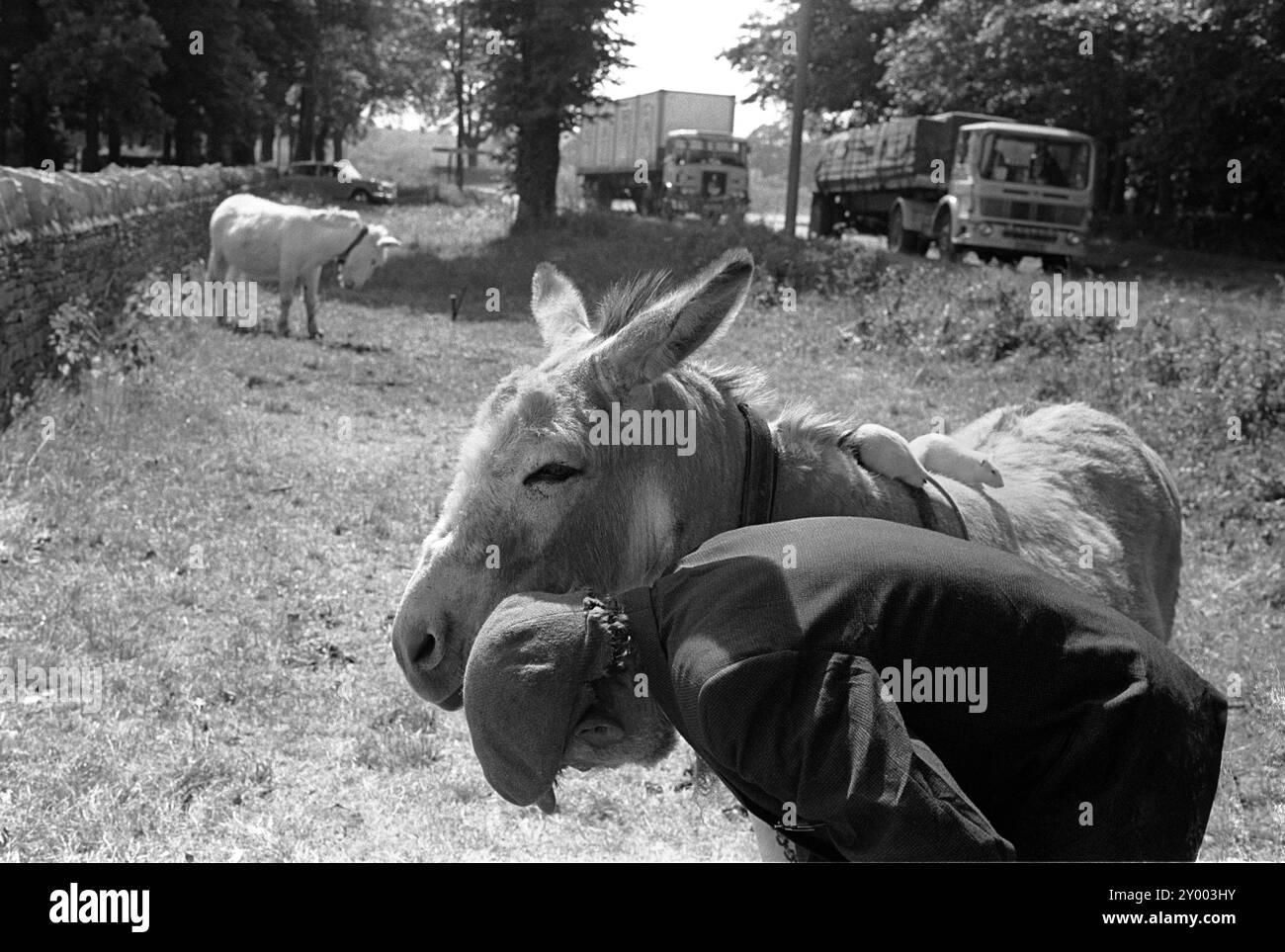 Fred Abel - The Donkey Man - camped at the roadside with two pet rats ...