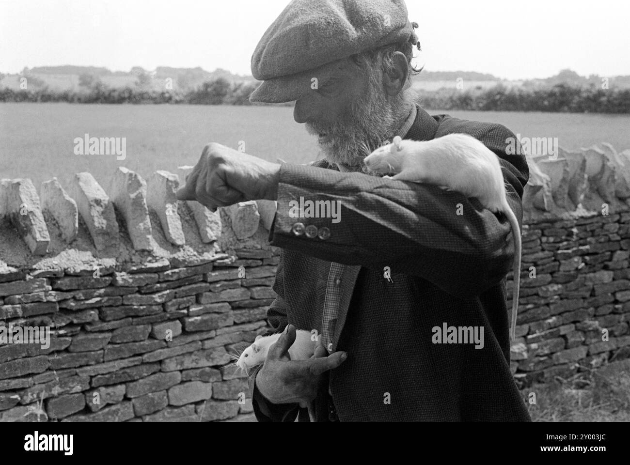 Fred Abel red Abel - The Donkey Man - camped at the roadside, seen here ...