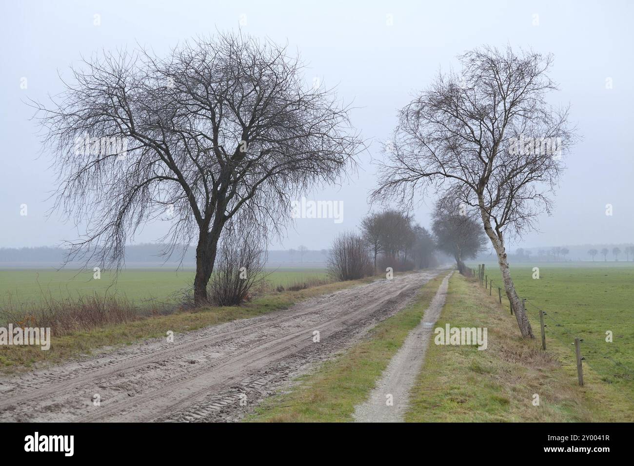 Groningen roads hi-res stock photography and images - Alamy
