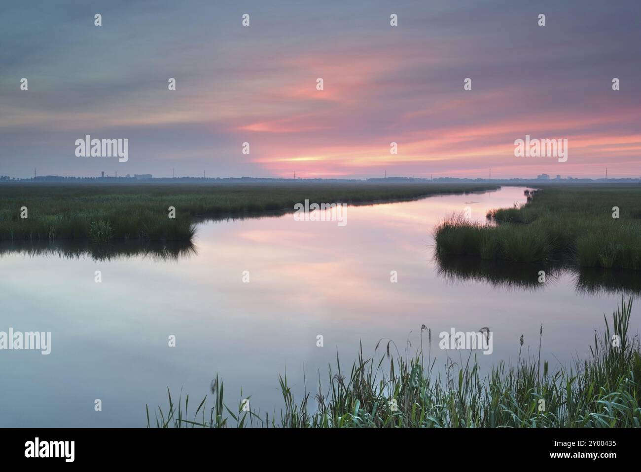 Purple sunrise over river, Drenthe, Netherlands Stock Photo - Alamy