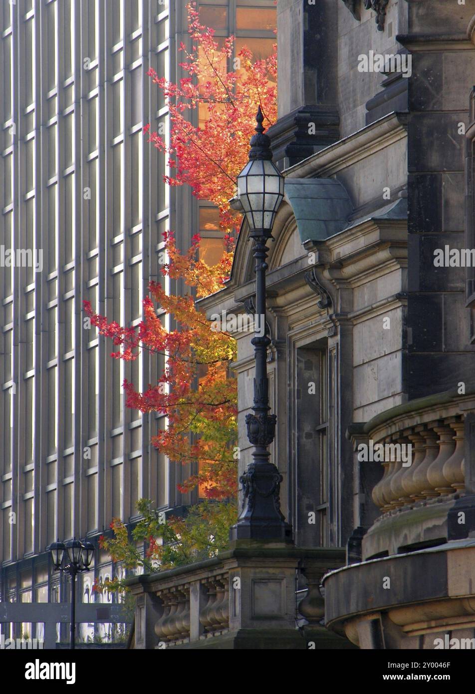 Lantern and maple tree at Berlin Cathedral, behind it the Palace of the ...