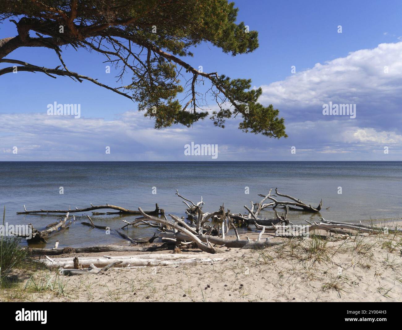 Riga bay hi-res stock photography and images - Alamy