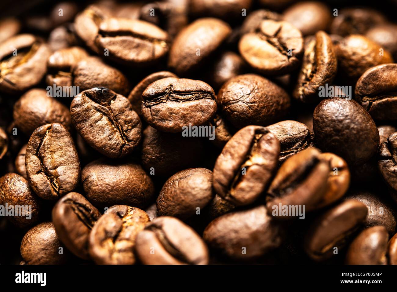 Displaying various textures hi-res stock photography and images - Alamy
