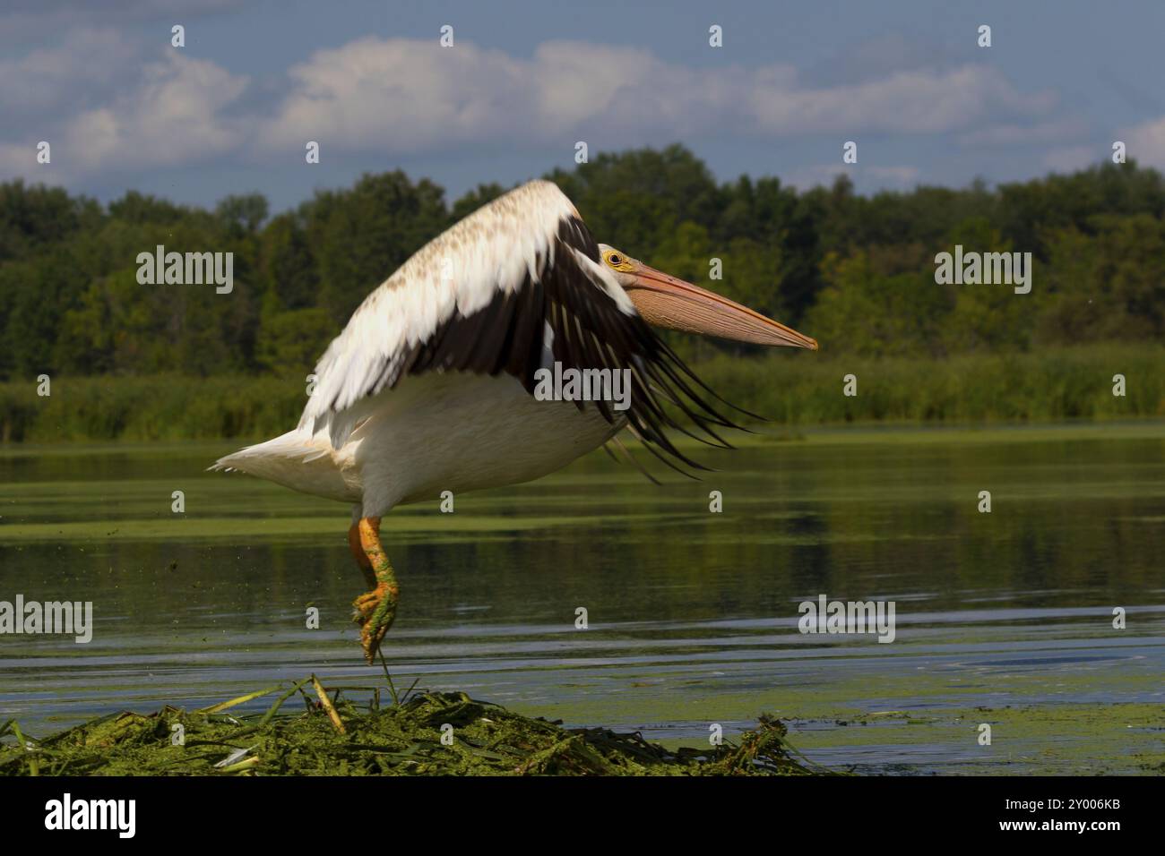 Nature scene from Wisconsin Stock Photo - Alamy