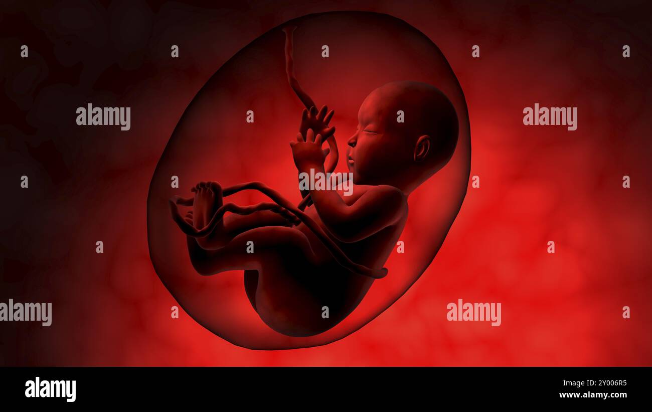 Birth sac hi-res stock photography and images - Alamy
