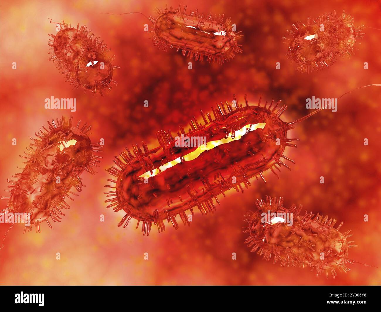 Group of Escherichia coli bacteria cells, commonly known as E. Coli. E ...