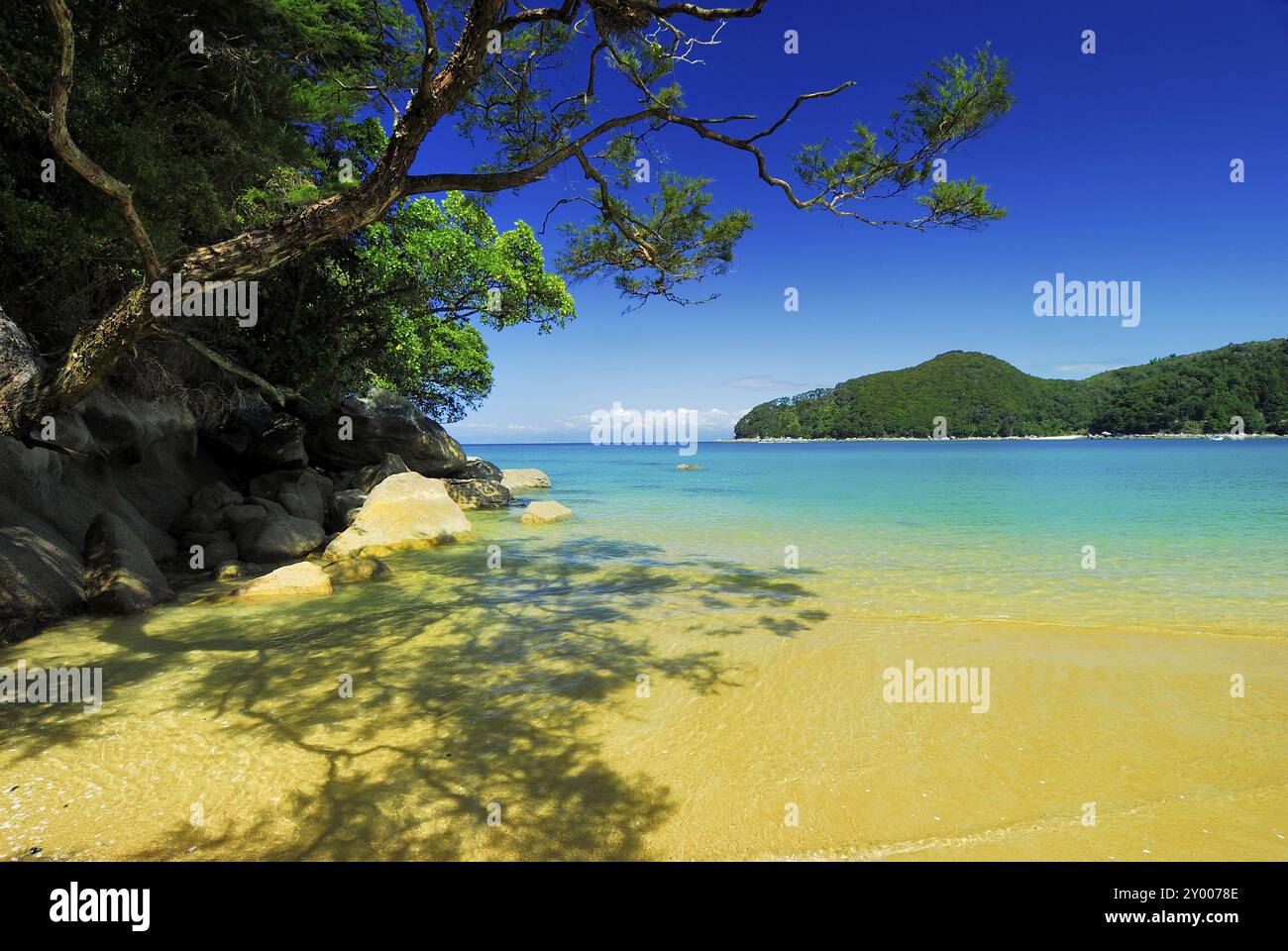 Sandy beach beach, Abel Tasman National Park, Tasman Sea, Nelson Region, South Island New ...