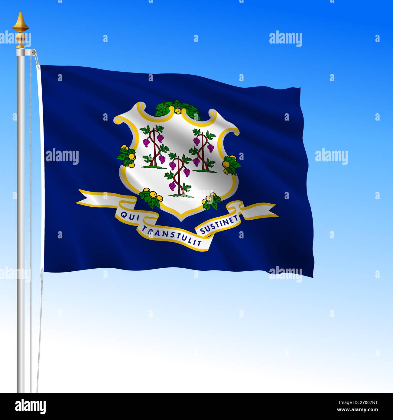 Connecticut federal state waving flag, United States, vector ...
