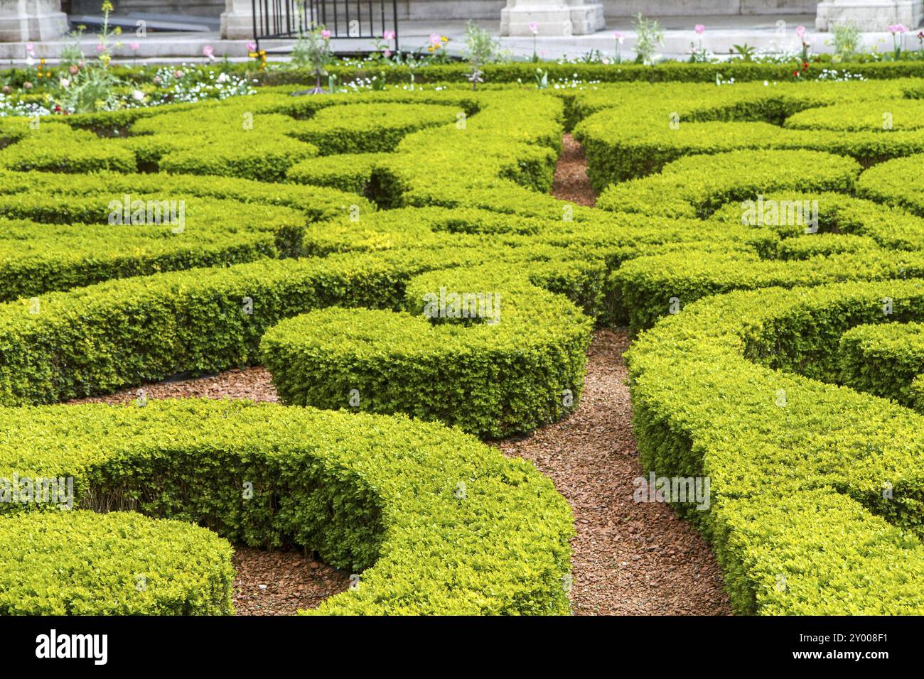 Boxwood borders hi-res stock photography and images - Alamy