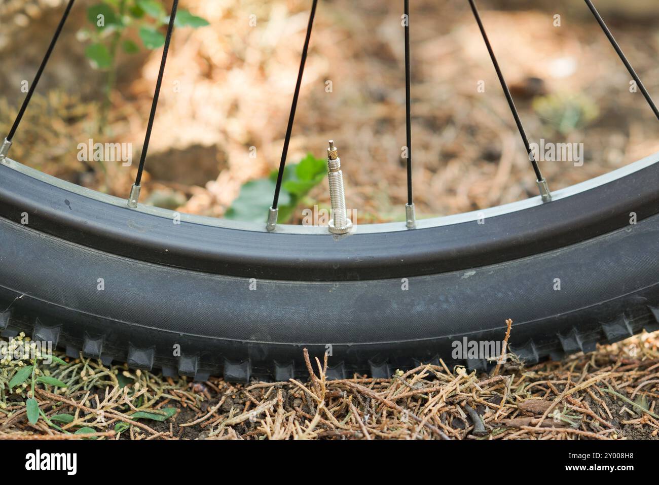 Bike valve hi-res stock photography and images - Alamy