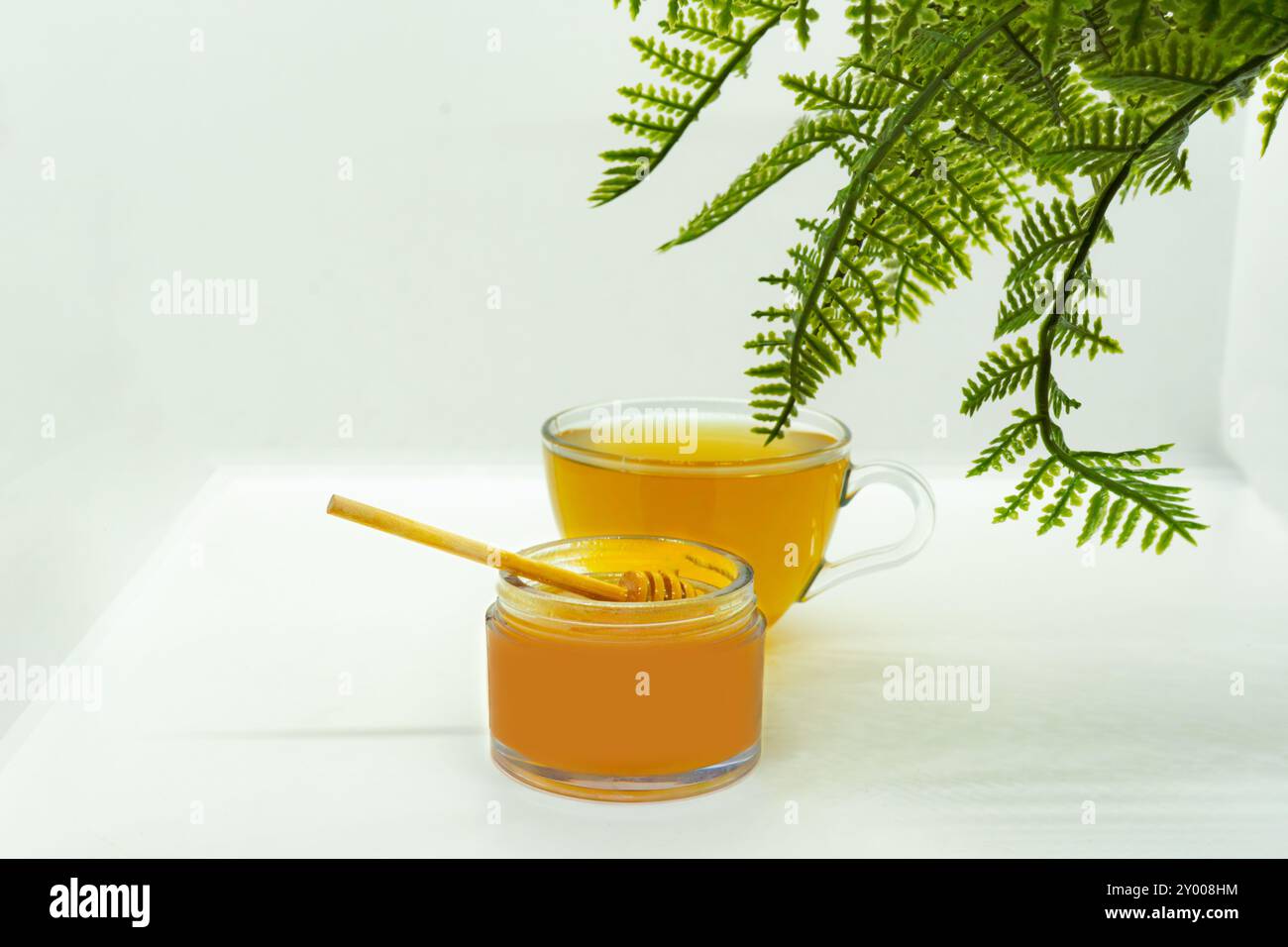 Honey Tea Lemon Receipt with Ginger Hot lemon with Honey and Green Tea ...